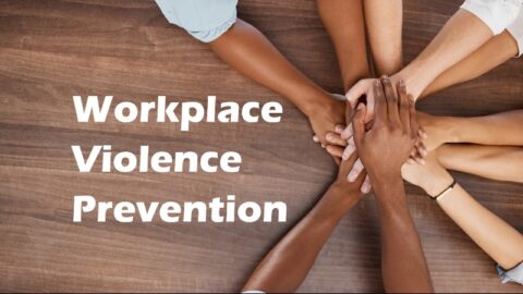Joint Health and Safety Taskforce Communication: Violence Prevention ...